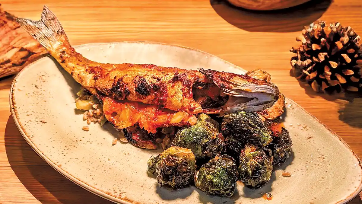 NorCal Chef Katerina Balagian’s Inspiring Journey From Humble Beginnings to Culinary Star