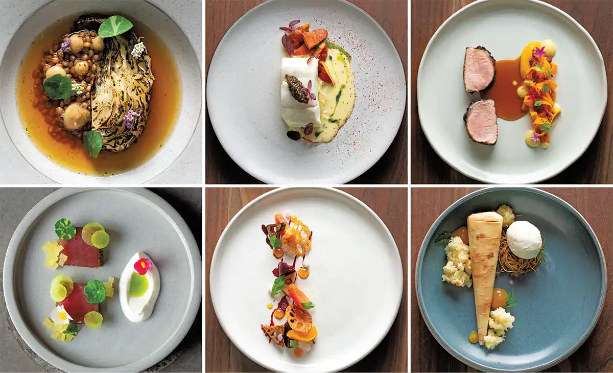 NYC Chef Mary Attea Shares Inspiring Journey Highlighted By Prestigious ...