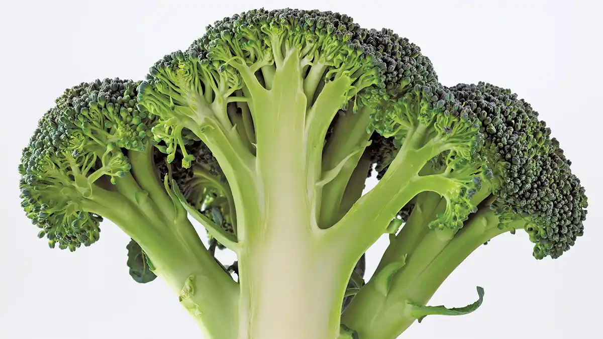 Beautiful, Bountiful, Broccoli